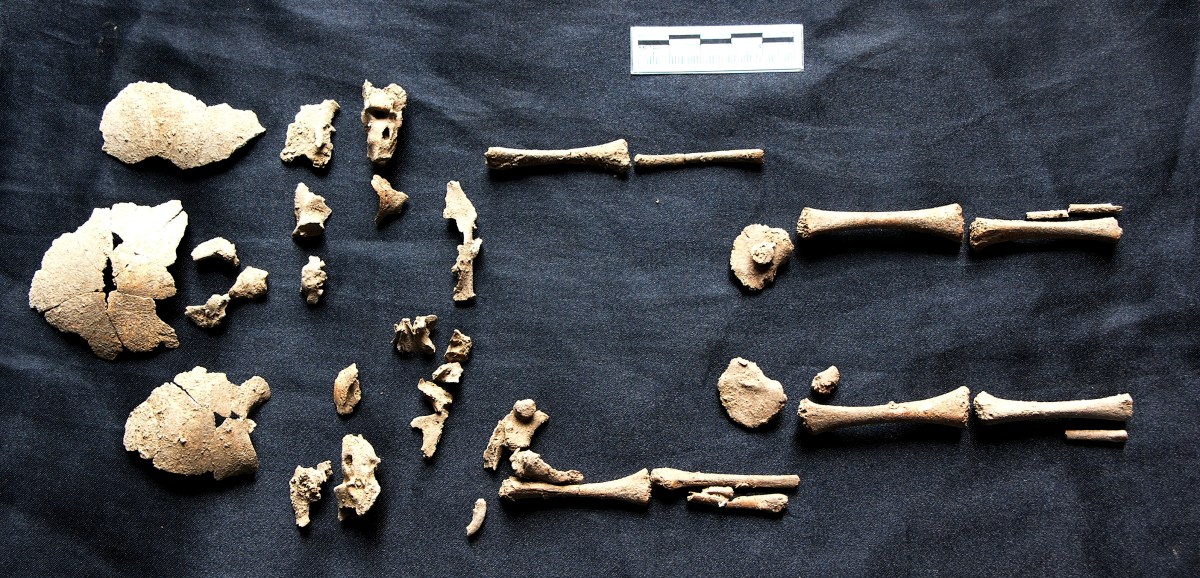 Call for guest posts on infant and child bioarchaeology | The ...