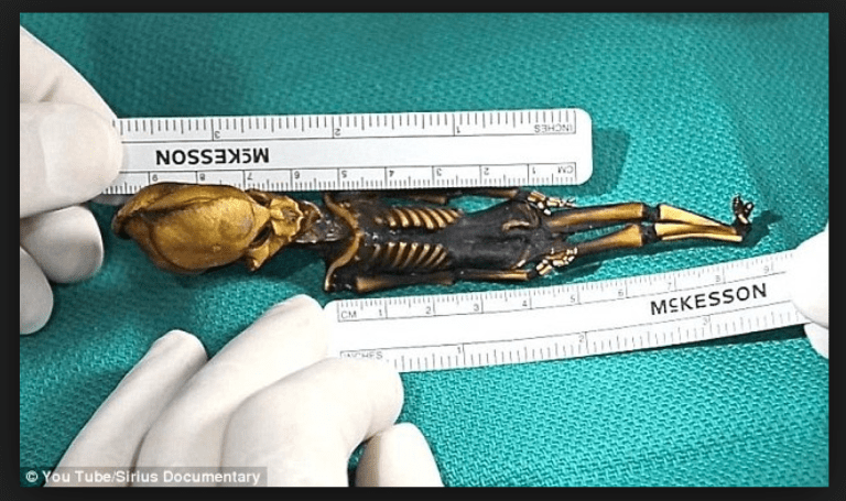 Alien from the Atacama: What baby osteology can tell you | The ...