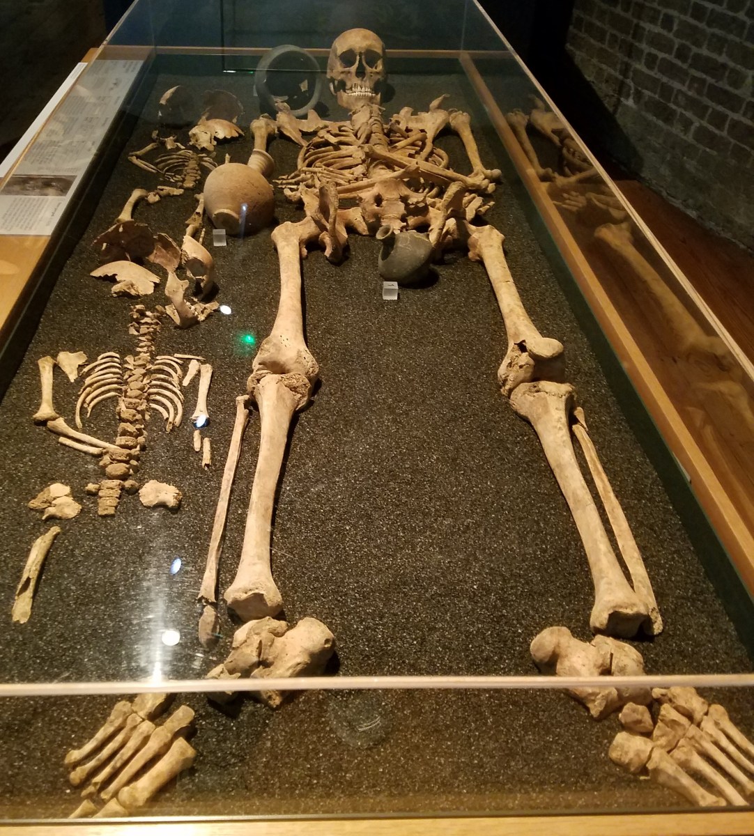 muslondoc2a | The Bioarchaeology of Childhood | Sian Halcrow