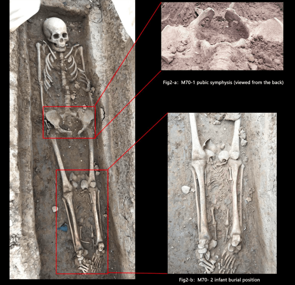 The Bioarchaeology of Childhood | Sian Halcrow | I study dead babies ...